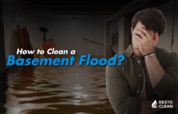 How to Clean a Basement Flood? | Resto Clean Matsu