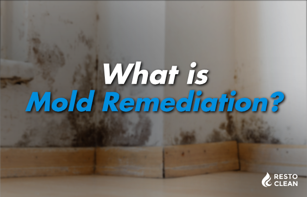 What is Mold Remediation? | Resto Clean Matsu